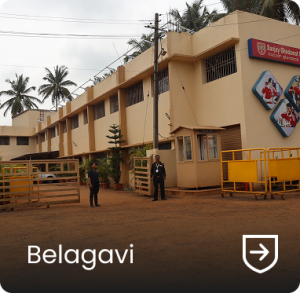 Best IGCSE, IB, and CBSE School in India | SGIS